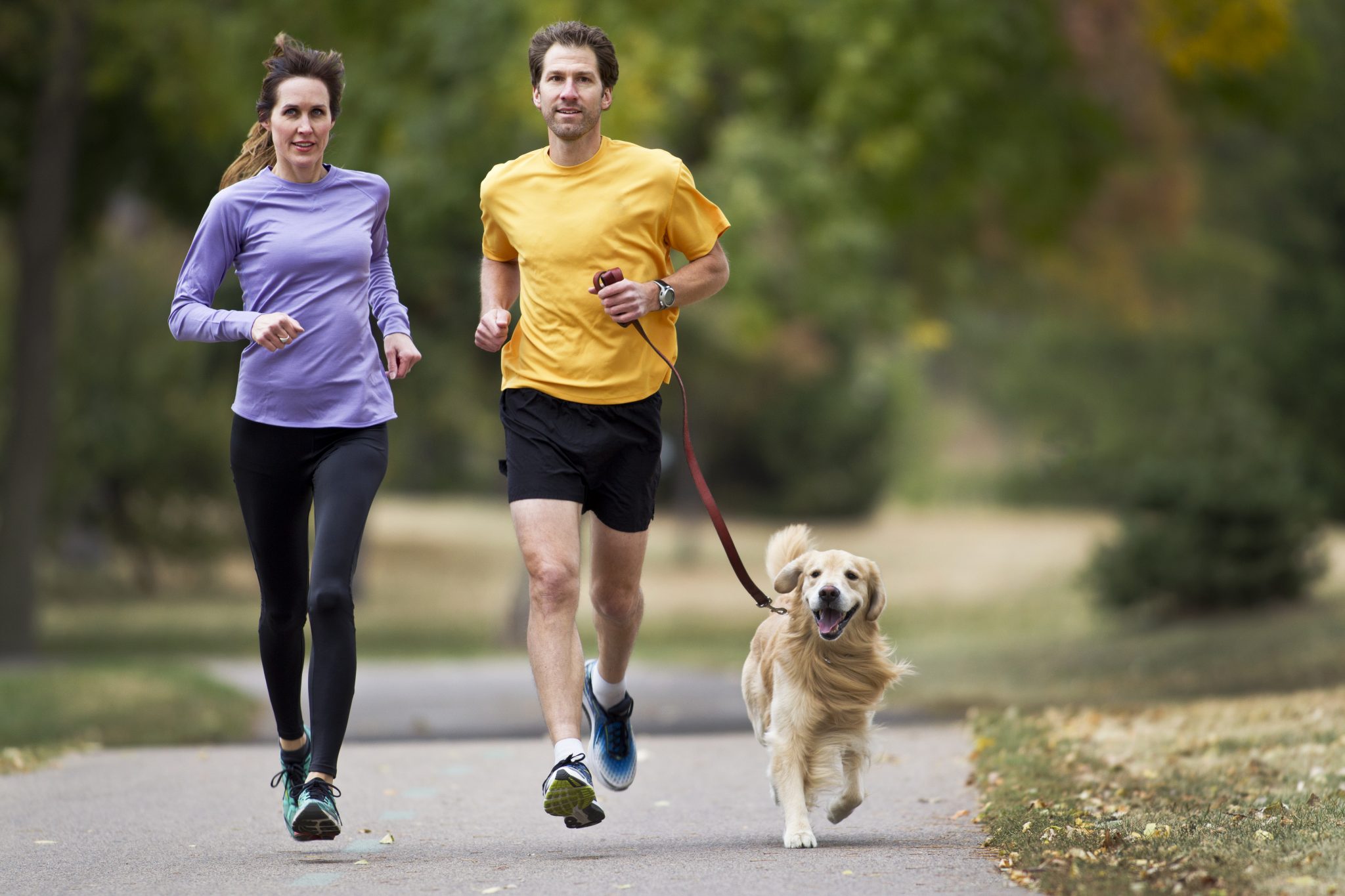 Running Tips For Spring – Nomad Therapies – Physiotherapy, Massage ...